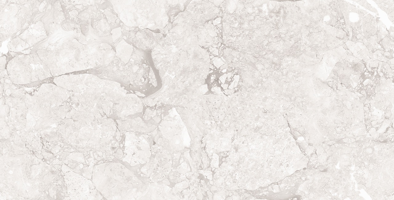 Emil White 30x60 cm || 12x24" Polished