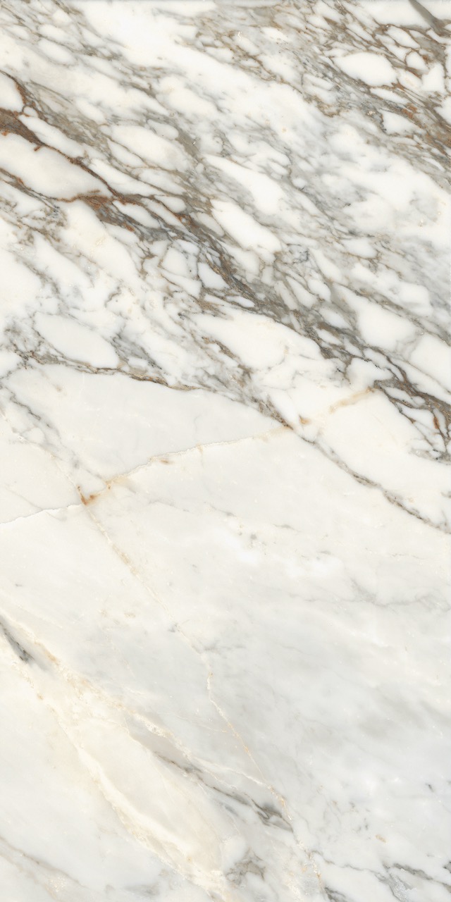 Calacatta Roma 60x120 cm || 24x48" Polished