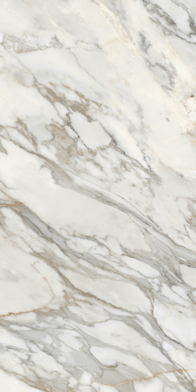 Calacatta Roma 30x60 cm || 12x24" Polished