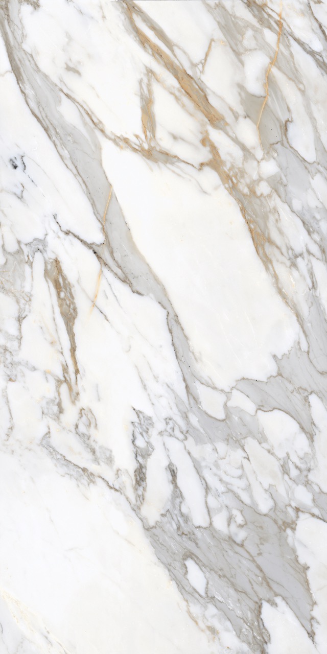 Calacatta Roma 60x120 cm || 24x48" Matt