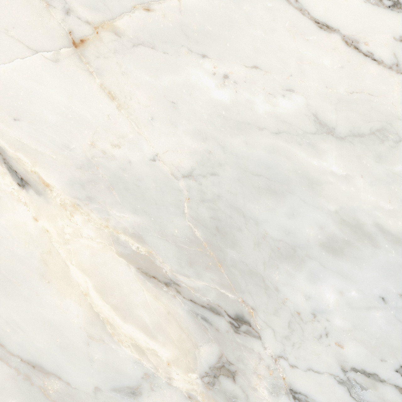 Calacatta Roma 60x60 cm || 24x24" Matt