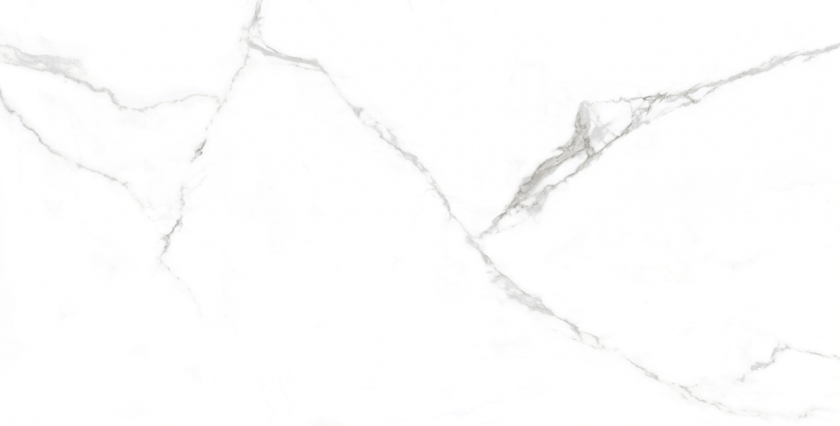 Mars Grey 60x120 cm || 24x48" Matt