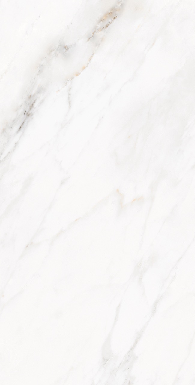 Tenderness 60x120 cm || 24x48" Matt