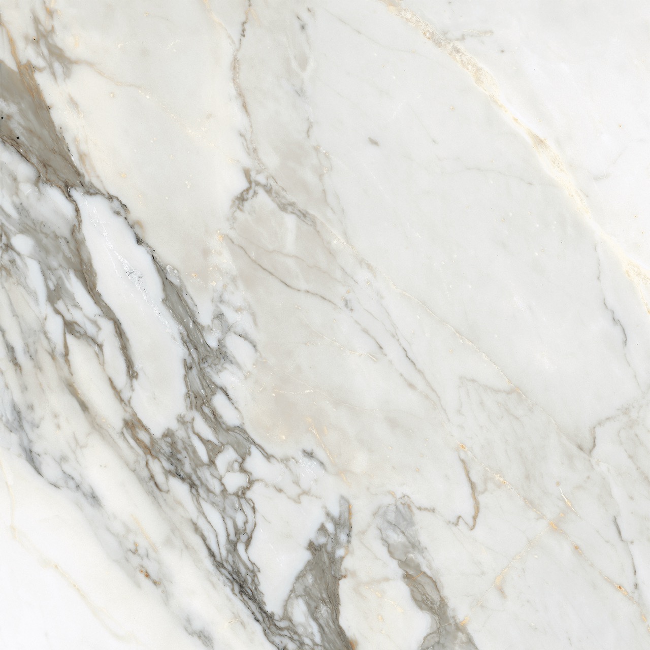 Calacatta Roma 60x60 cm || 24x24" Polished